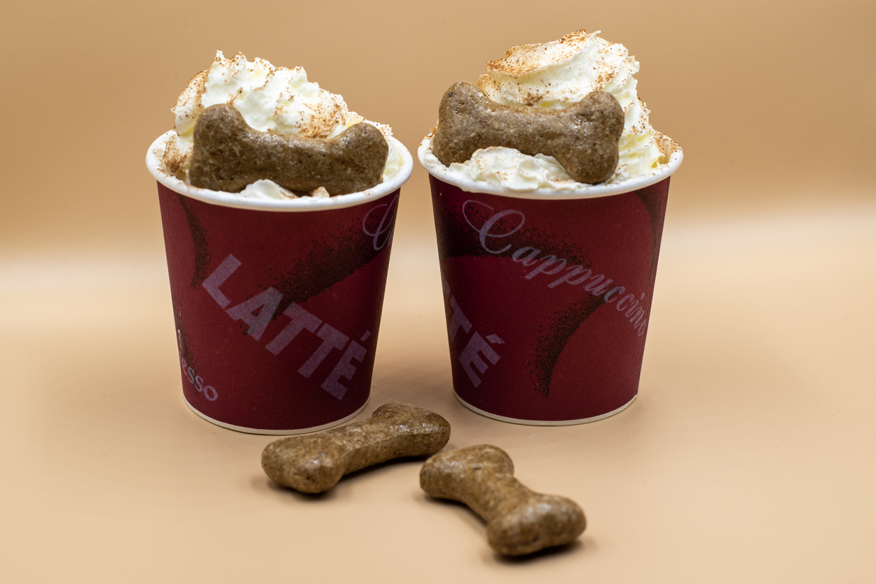 Can Dogs Eat Whipped Cream?